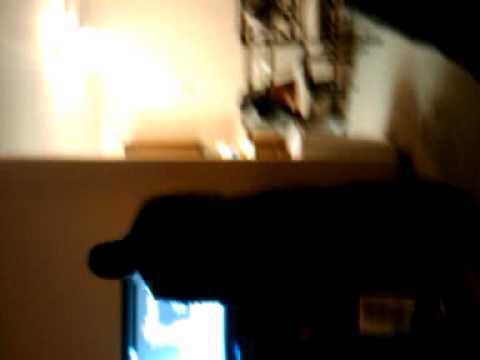 video-2009-12-30-22-36-38 - YouTube