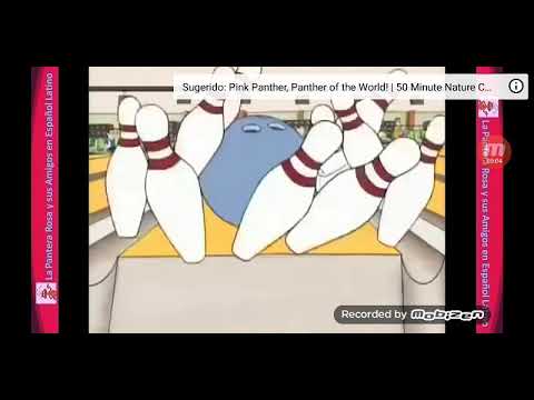 Pantera Rosa/Bolos rosa - YouTube