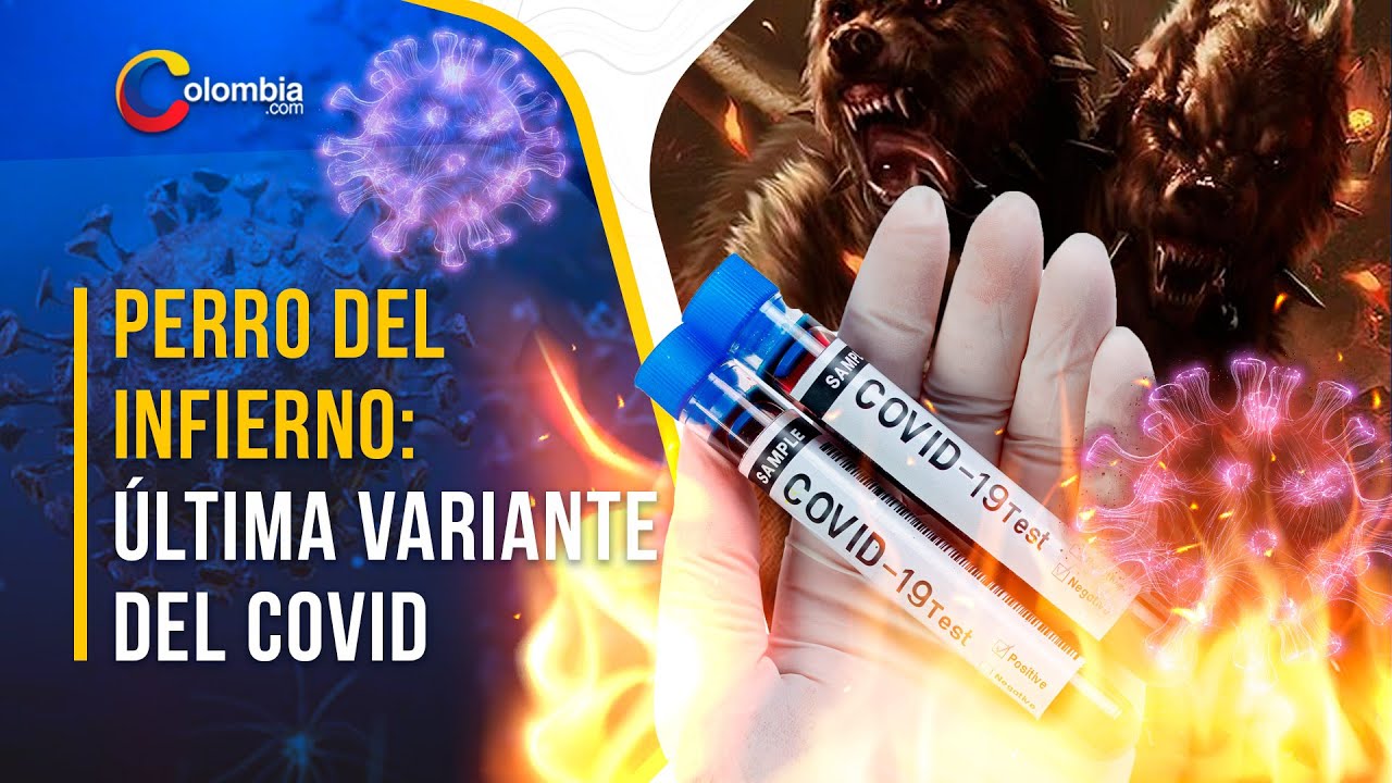 COVID-19: Perro del Infierno, la última variante que prende alarmas en ...