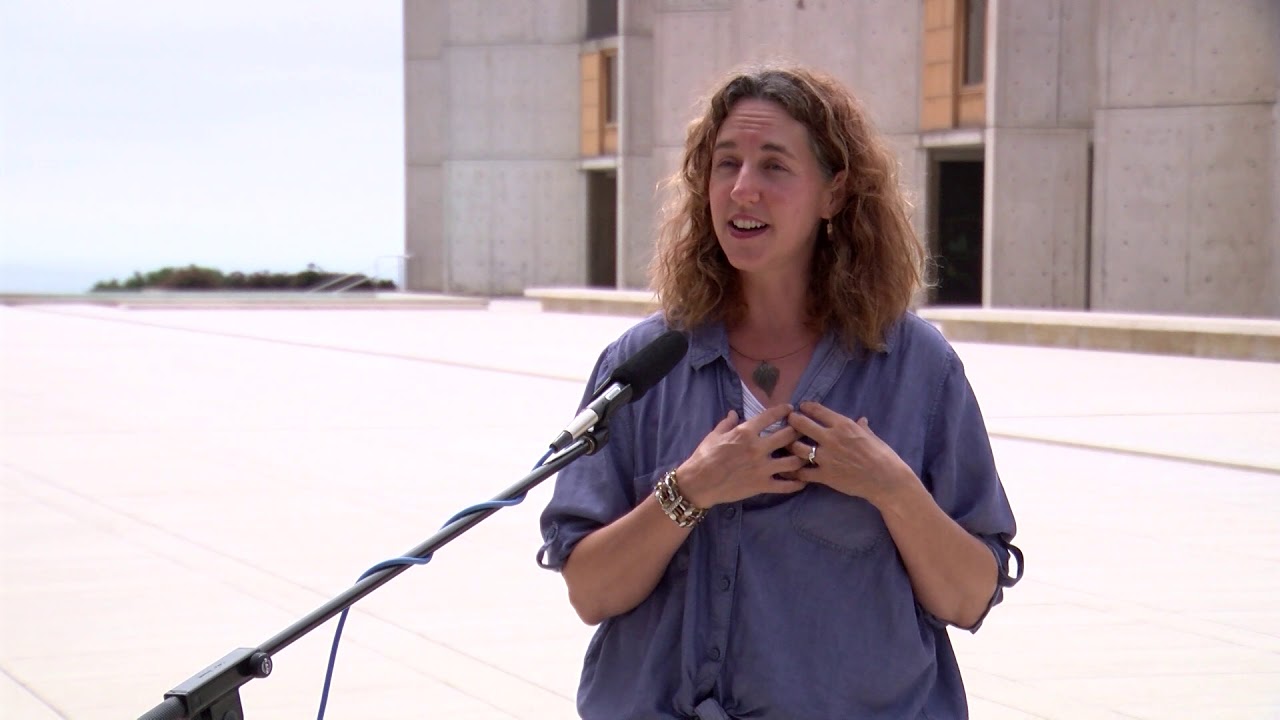 Salk Institute Scientists Study T Cells And How they Can Fight Against ...