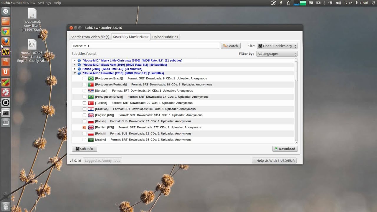 SubDownloader: A Lightweight And Fast Subtitles Downloader - YouTube