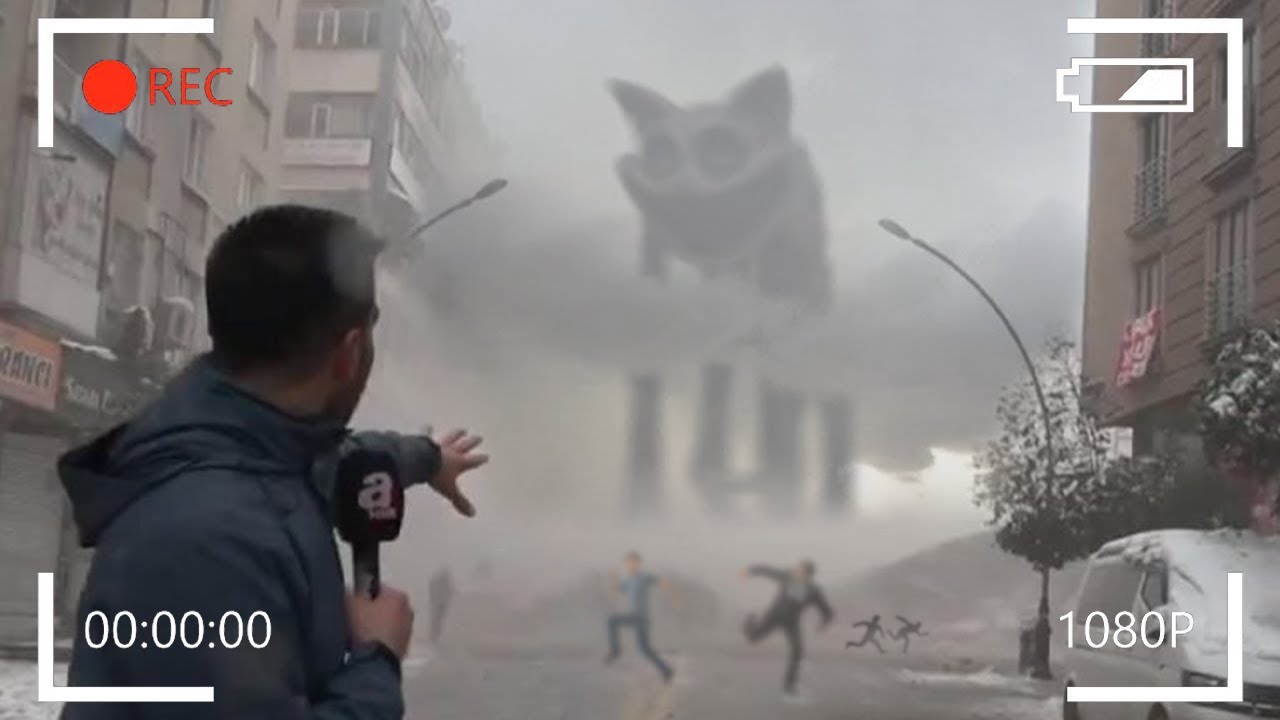 CATNAP SPOTTED in REAL LIFE !!! - YouTube