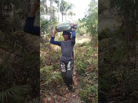 pakyawan paghakot ng Bato para makapera mga ka maoy - YouTube