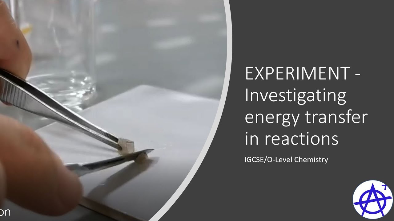 Investigating energy transfer in various reactions - YouTube