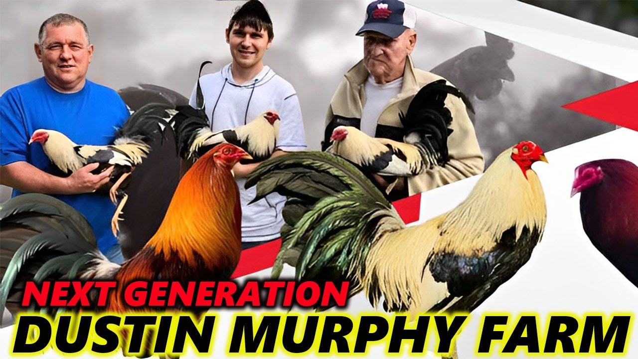 Dustin Murphy Next Generation Beautiful Big Farm USA - YouTube