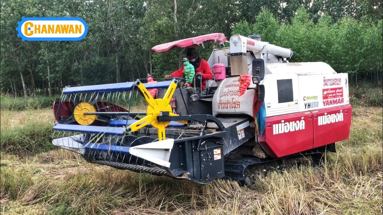รีวิวการทำงานรถเกี่ยวยันม่าร์ YANMAR YH850 รถแบบอุ้ม Combine Harvester ...