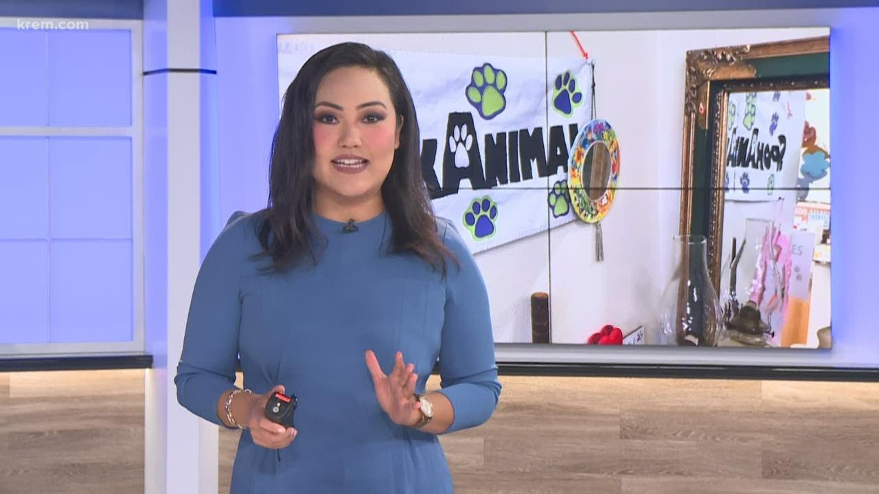 How to help out Spokanimal during the coronavirus pandemic - YouTube