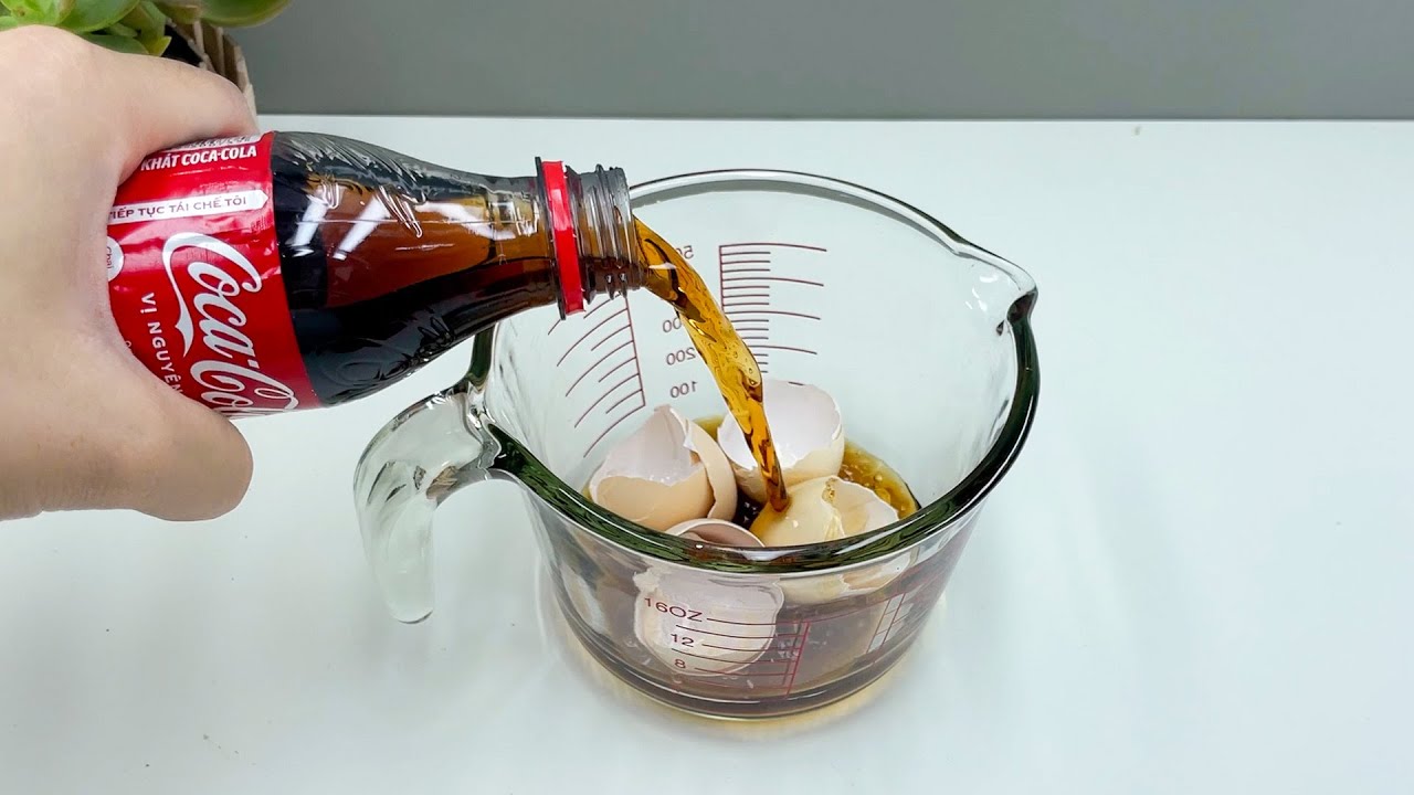 Ingenious Home Hacks About Mixing Coca Cola with egg shell | Soc Sweet ...