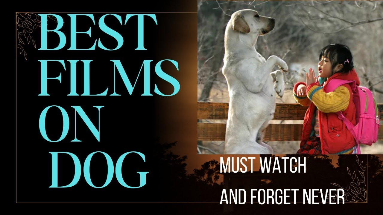 10 Best Dog Movies You Can't Miss in Life. - YouTube