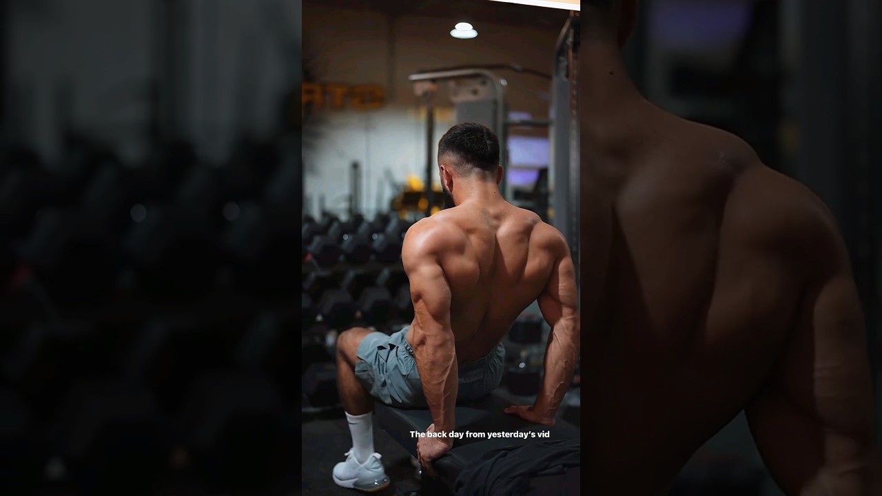 Back Shape Gym Training Anatoly #anatoly #shorts #gym - YouTube