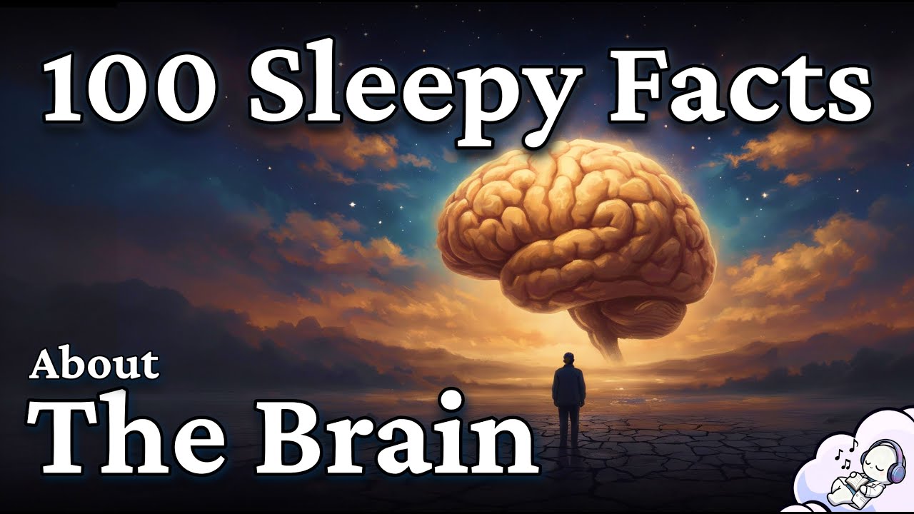 Does The Human Brain Ever Rest? (A Calm Sleep Documentary) - YouTube