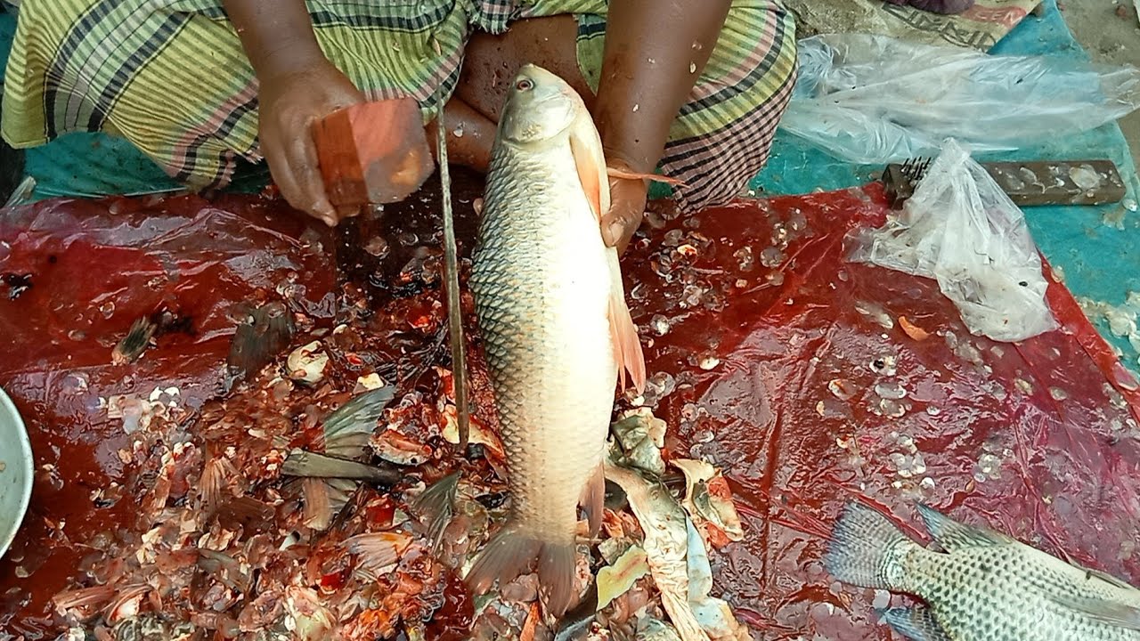 Rohu fish cutting skills video Bangladesh 🐳 Fish cutting - YouTube