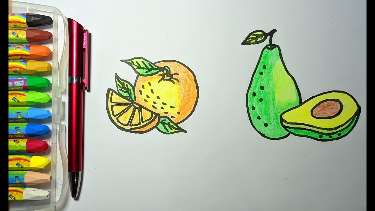 Cara Menggambar dan Mewarnai Jeruk dan Alpukat | How to Draw and Color ...