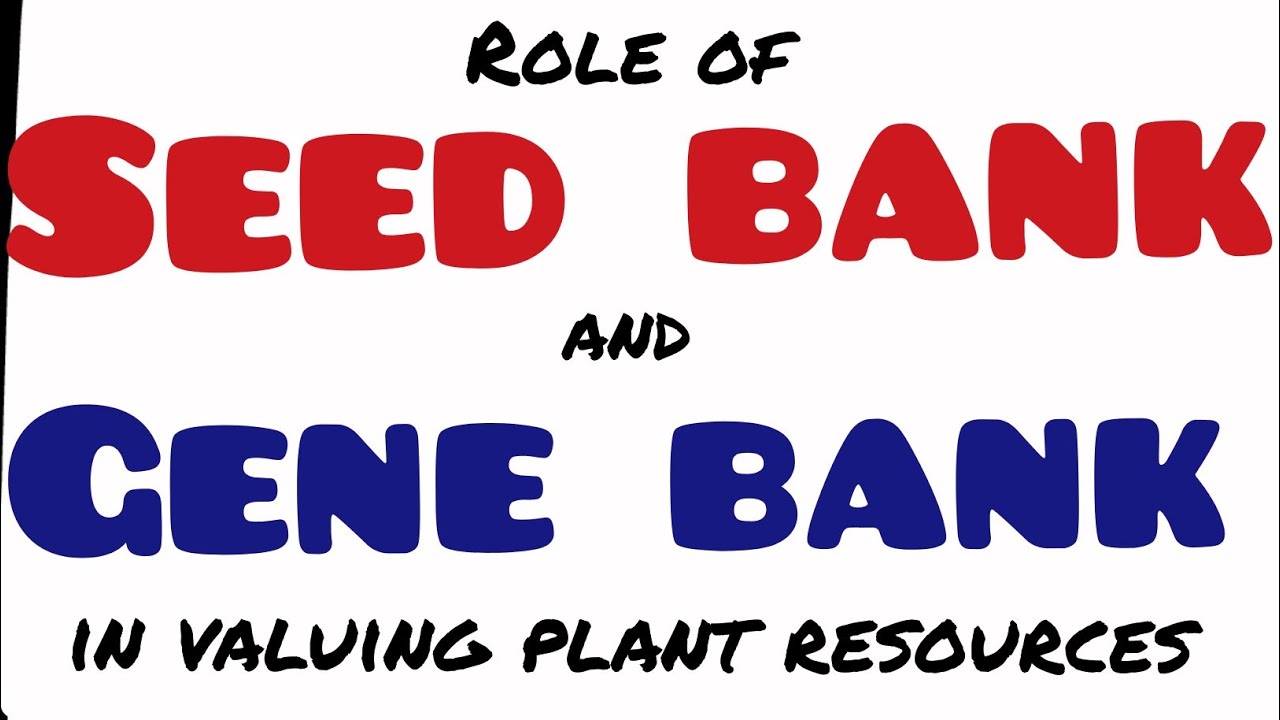 Seed bank and Gene bank role in valuing plant resources | Biodiversity ...
