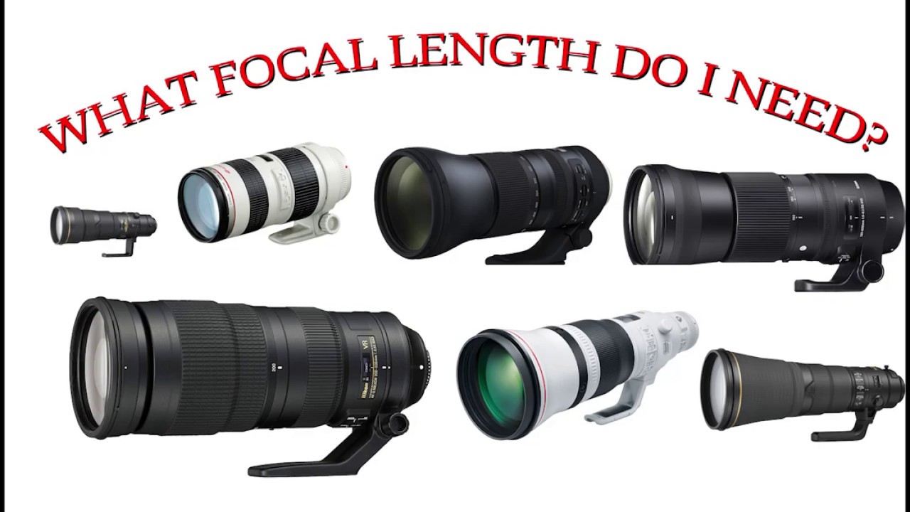 Wildlife Photography - Focal Length Comparison 200mm-600mm - YouTube
