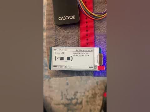 Pwnagotchi AI Raspberry Pi Zero Wifi hacking device - YouTube