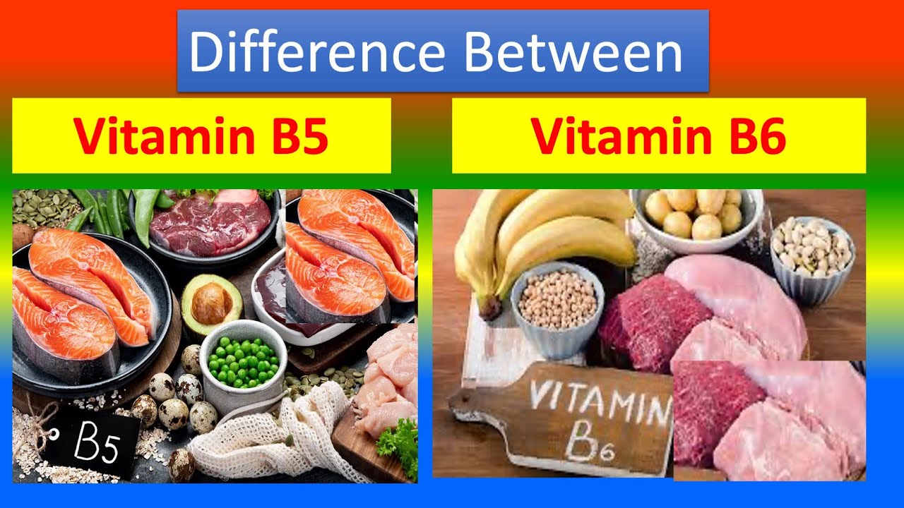 Differences Between Medical And Health Benefits Of Vitamin B5 and ...
