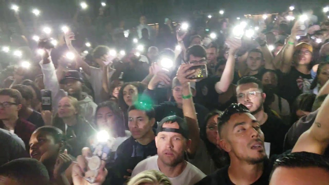 nobigdyl. Live - YouTube