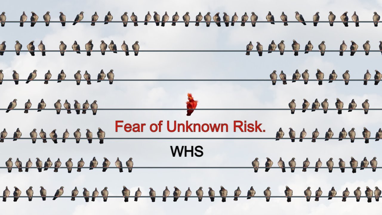 Fear Of The Unknown Risk In WHS | Scary Feeling in OHS |Scary Risk in ...