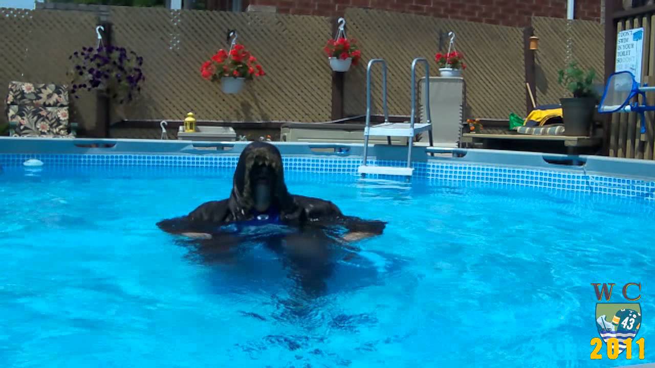 Session 19 - YouTube