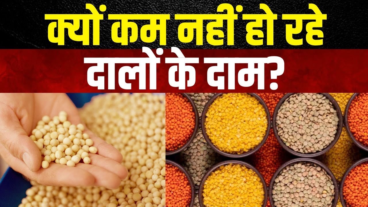 Pulses Commodity Outlook: लगातार तीसरी बार बढ़ी Import Duty, क्यों बढ़ रहे हैं दालों के दाम ...