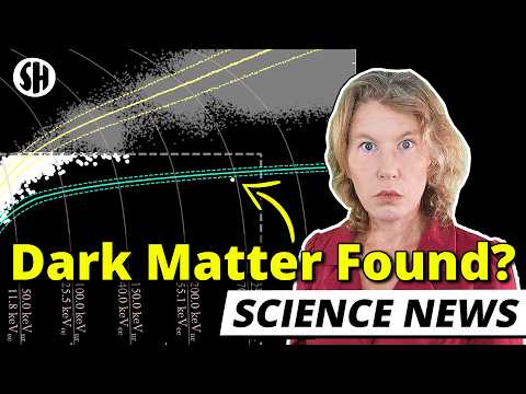 First Detection of Dark Matter Particles?