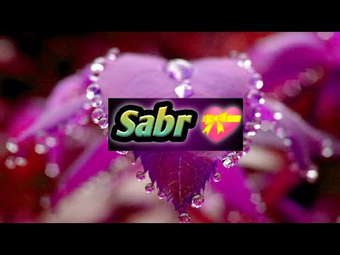 Best Islamic motivational quotes | Islamic motivational Whatsapp status | Islamic quotes | sabr