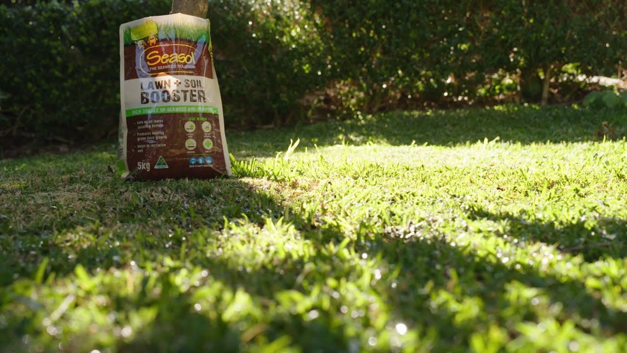 The Garden Gurus - 3 Steps for a Lush, Green Lawn - YouTube