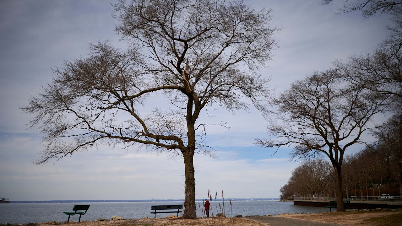 Sea Cliff Village on Long Island - YouTube