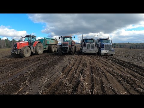 Cow Manure Spreading. Nursing into tractor tanks with trucks - YouTube