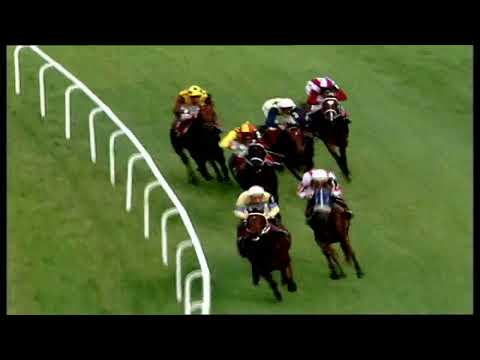 JHONY GUITAR - 8 TEMMUZ 1995 İSTANBUL 5 KOŞU