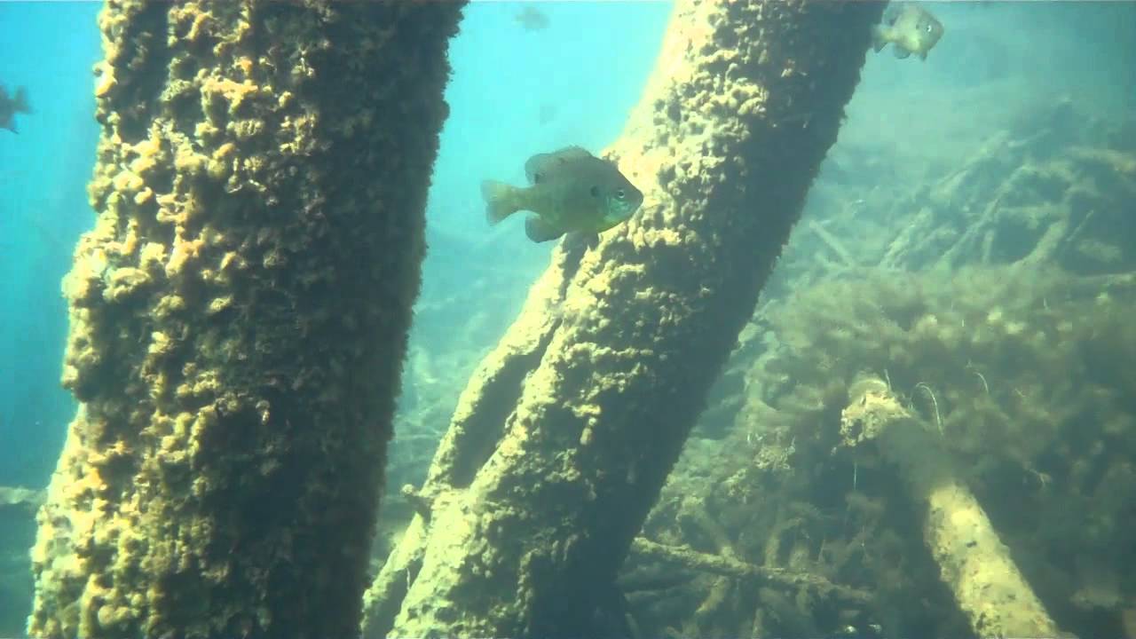 Scuba Diving Minnesota: Feigh (boat dive) - YouTube