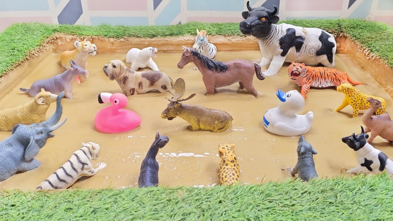 Zoo in the Muck: An Interactive Farm Animals Name & Sound Discovery ...