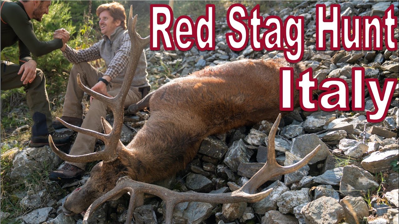 Red Stag hunting in Italy with Italian Safari - YouTube
