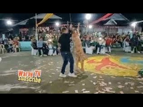 KURATSA NG MAYOR NG PALAPAG 🎊 Mayor FAWA BATULA 🎭 Brgy. Matambag ...