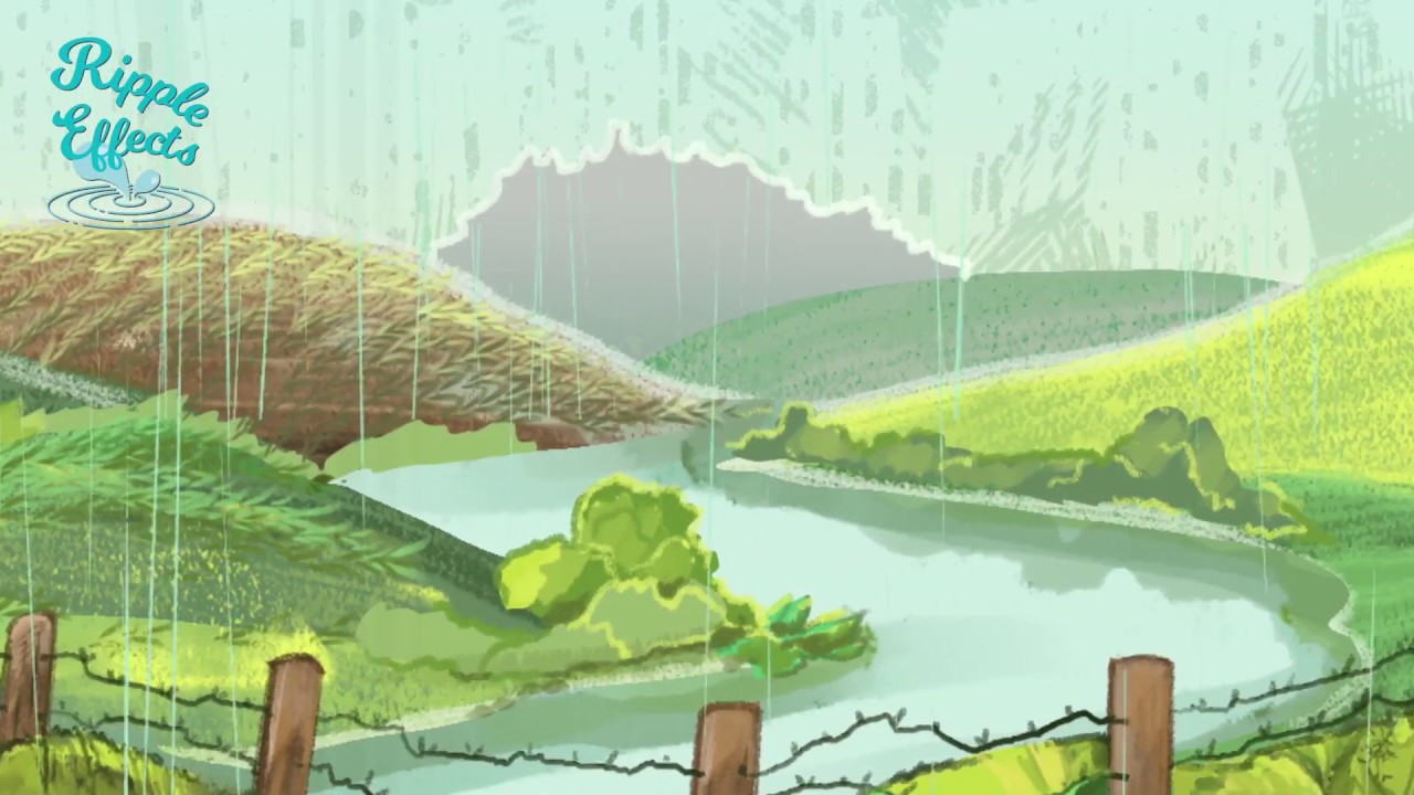 Water Runoff Cartoon