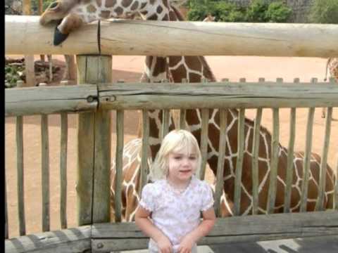 Delaney Wadsworth - Prayers for Princess Delaney - YouTube