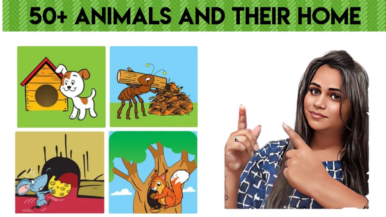 50 Animals and their home| Animals home| Animals home name in English ...
