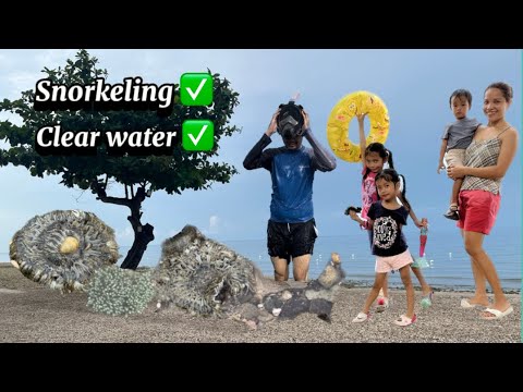 Tyche Beach in Catmon, Cebu | Snorkeling | Kids fav bingka(rice cake ...