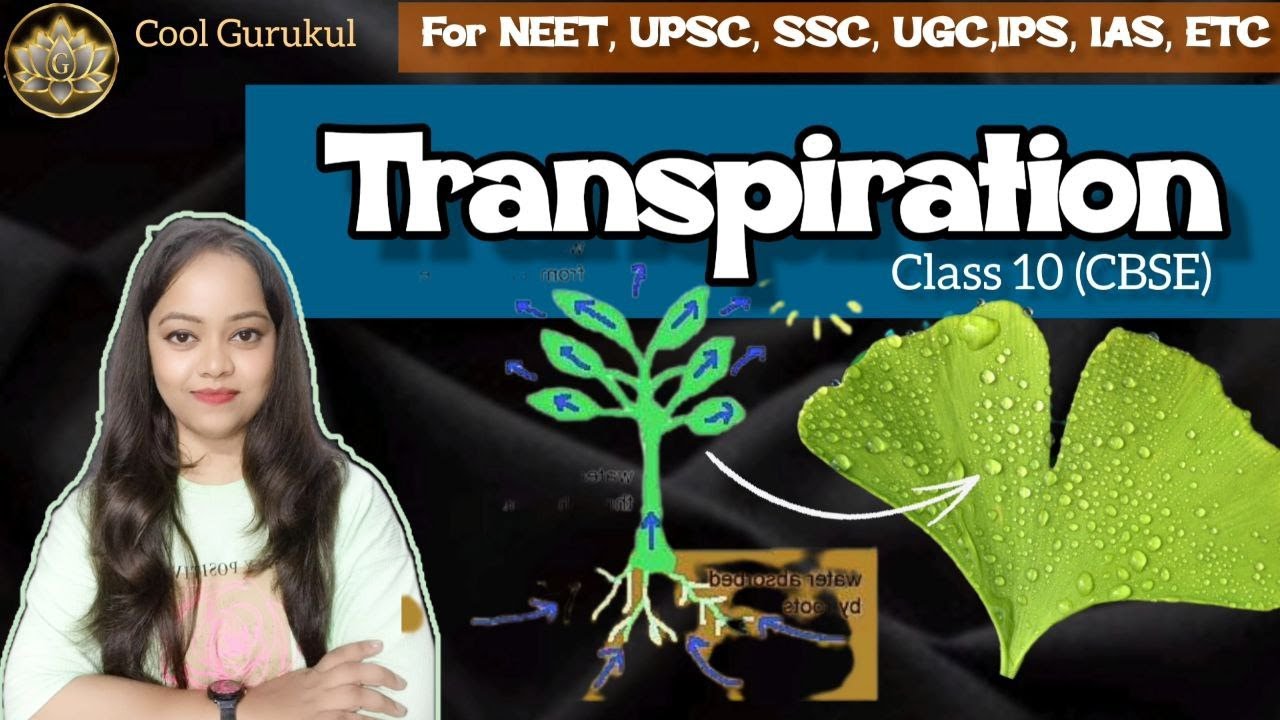 Transpiration - Life Process || Transpiration In Plants || Class 10 ...