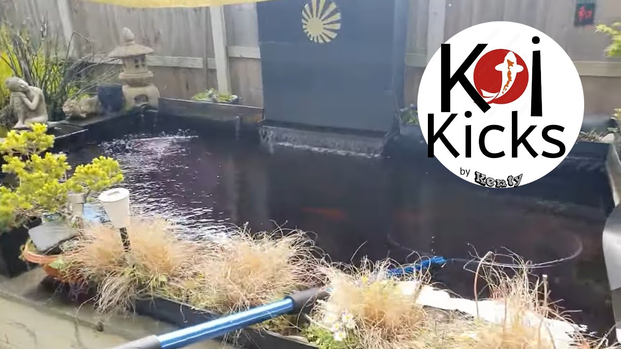 Sick Koi!? Pp Pottassium permanganate measuring by ORP/MV. - YouTube