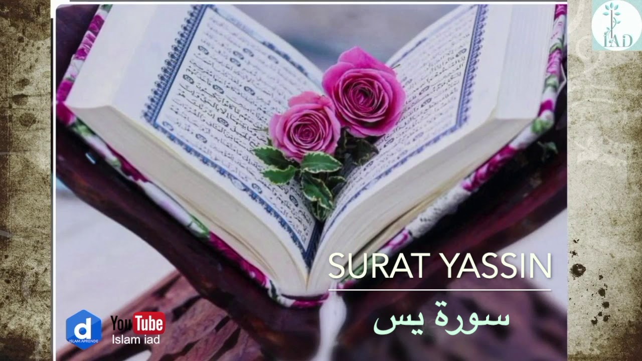 SURAT YASIN, Corán Karim سورة يس القران الكريم - YouTube