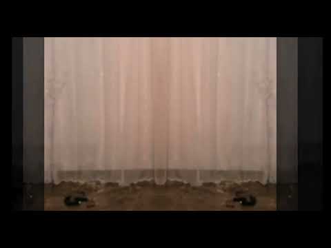 bj FLYEITHME REA dance