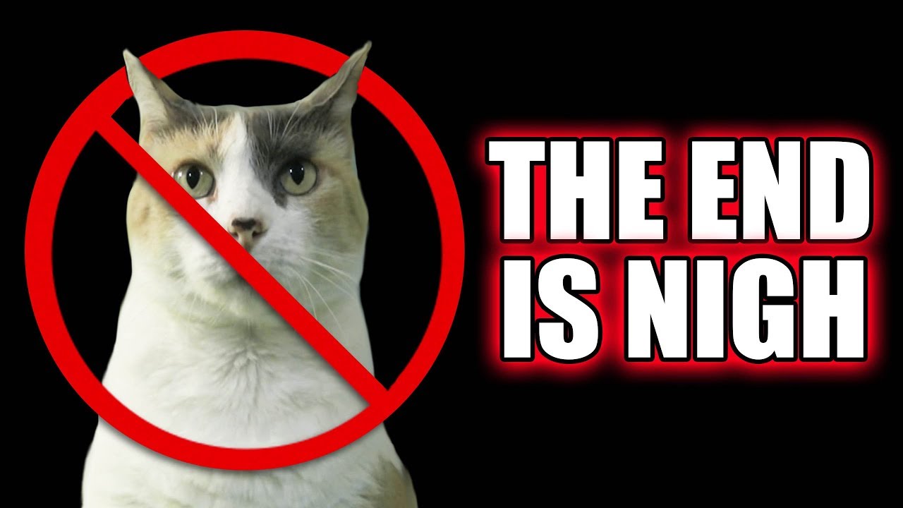THE END OF CREATIONIST CAT : INCOMING - YouTube