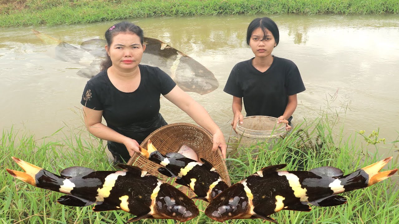 Catch a strange fish whose name I do not know - YouTube