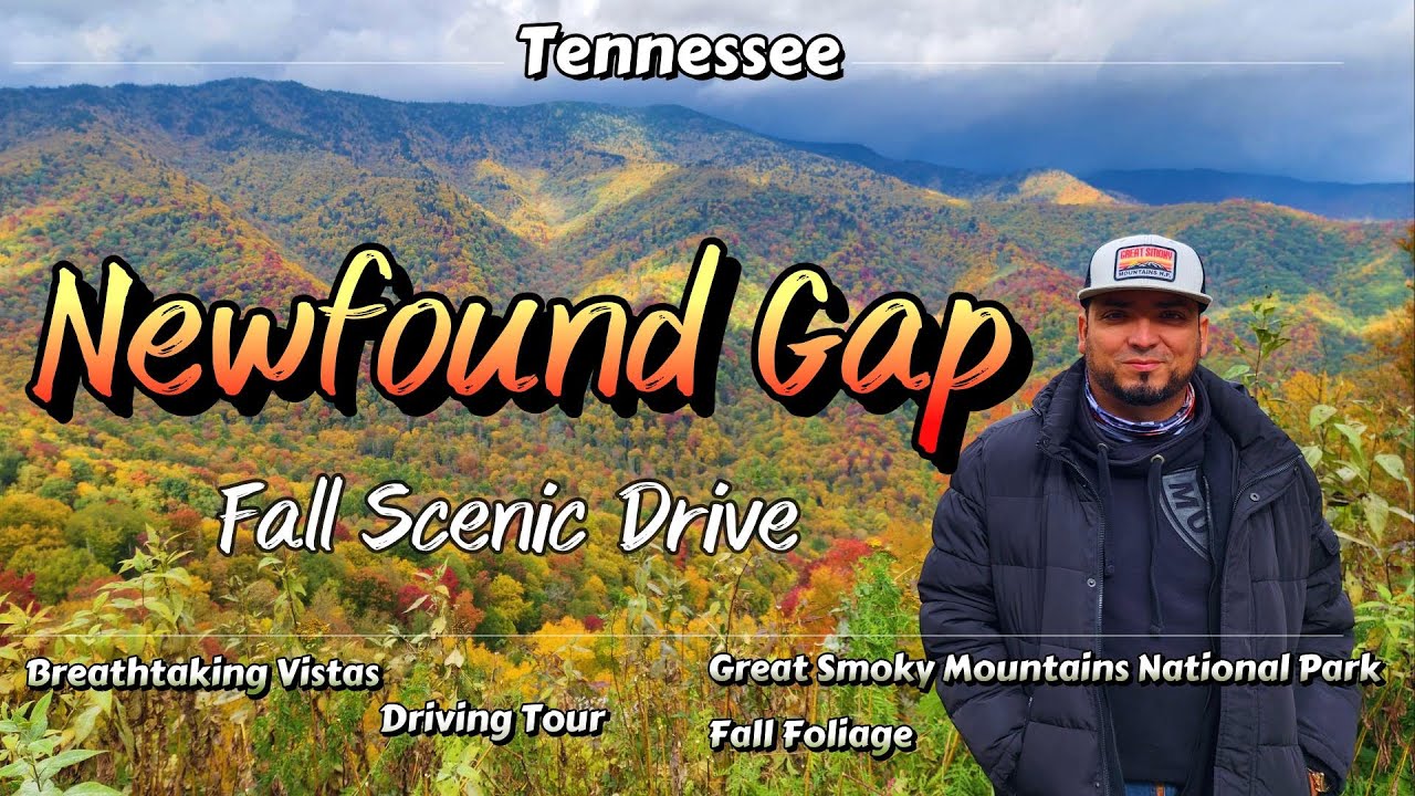 Newfound Gap Fall Scenic Drive 4K - Fall Foliage in the Great Smoky ...
