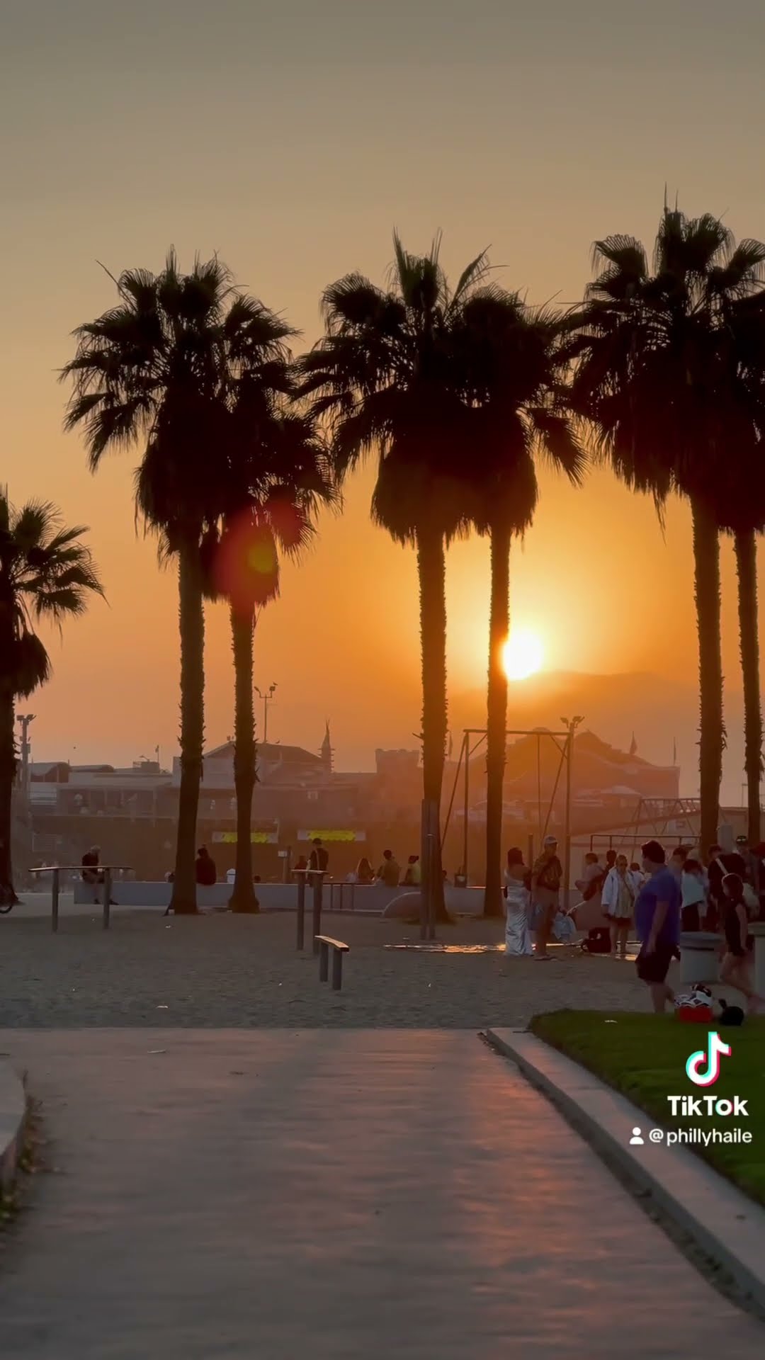Muscle Beach Youtube