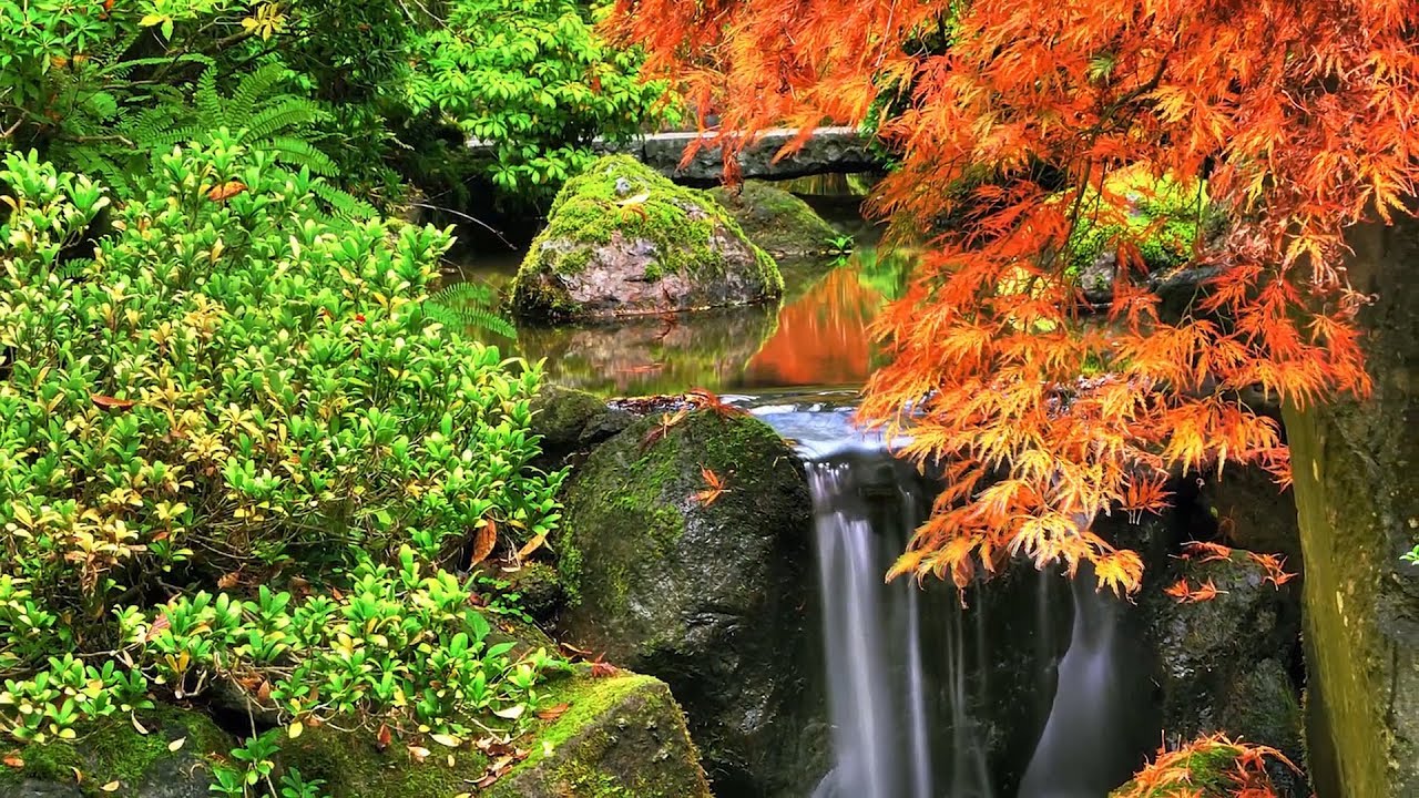 Fall Relaxing Backgrounds