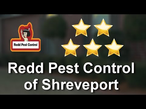 Redd Pest Control of Shreveport Shreveport Perfect Five Star Review by ...
