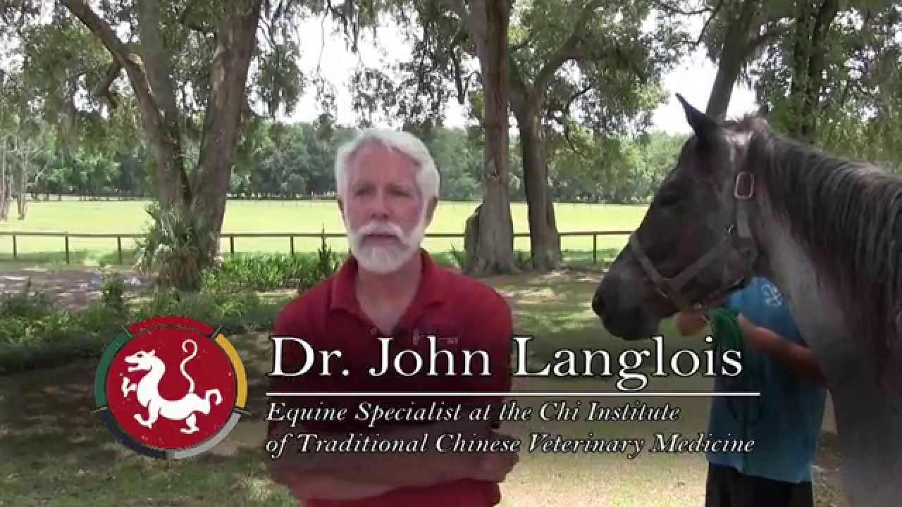 Dr. Langlois Staff Video - YouTube